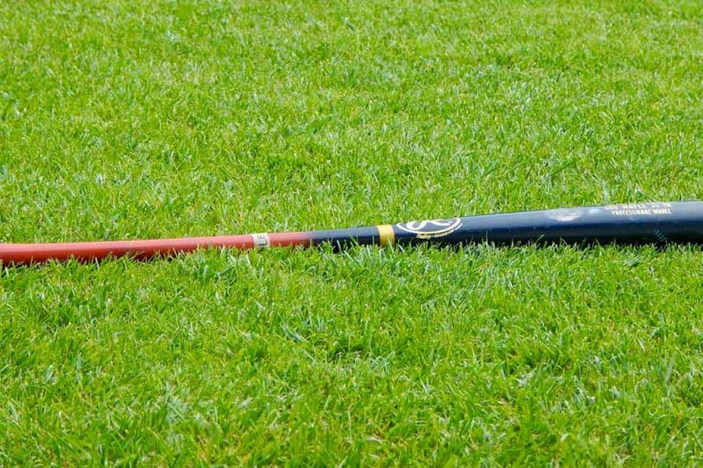 Meilleure Batte de Baseball - Guide